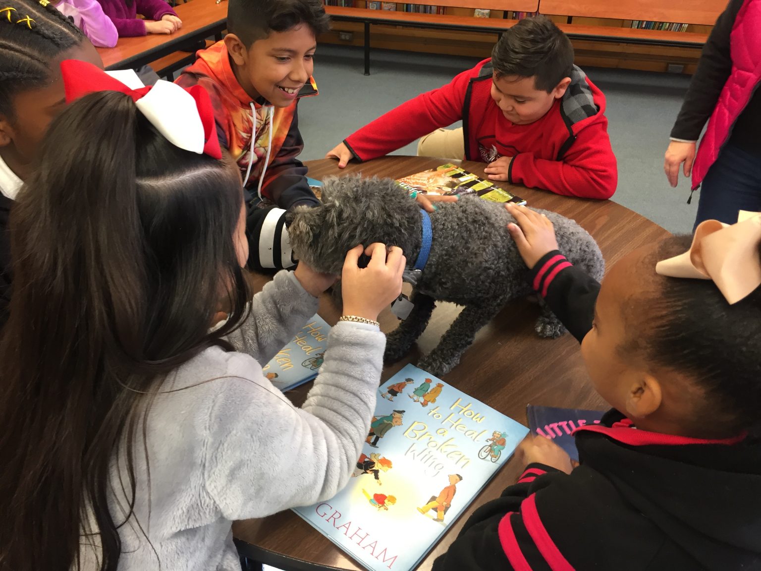 Humane Education - Texas Humane Network