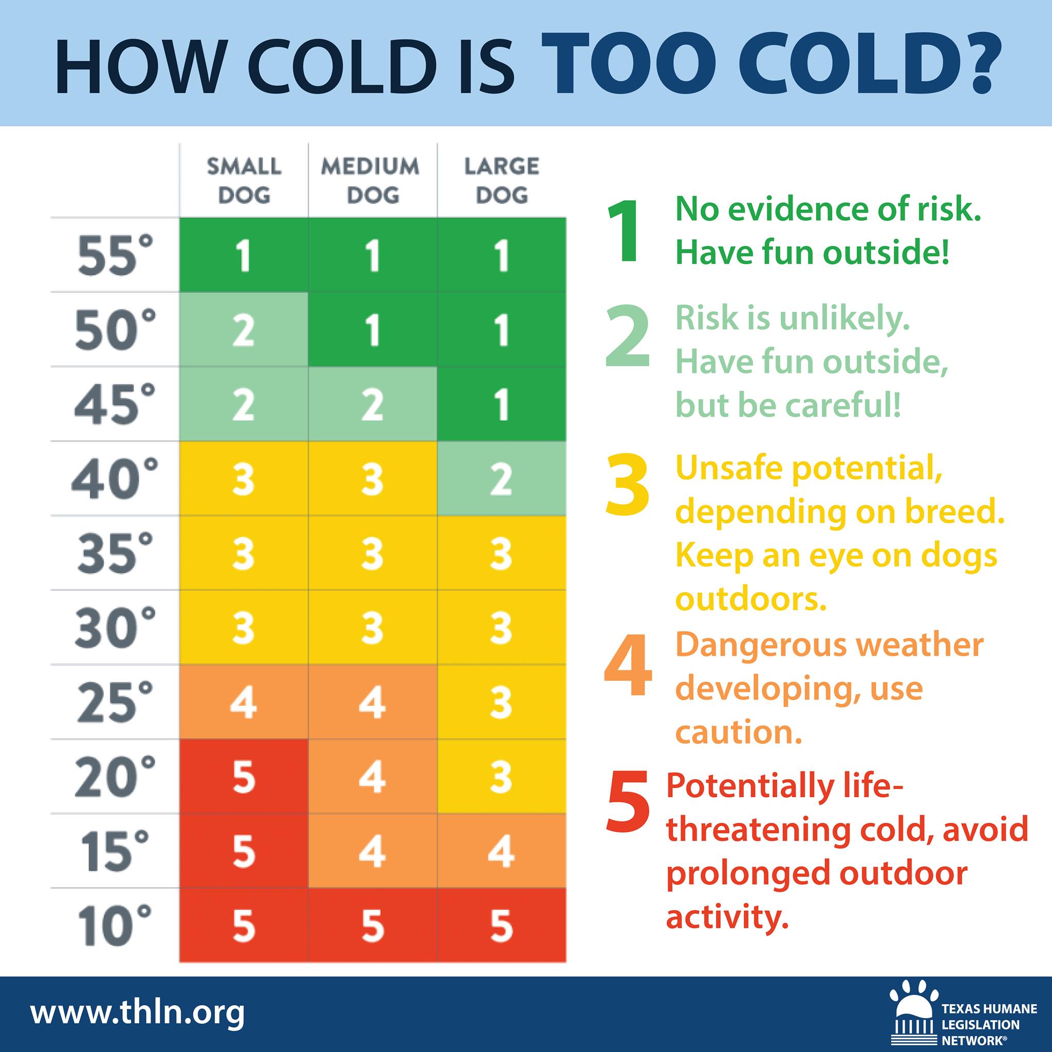 Cold Weather Pet Safety – Texas Humane Network