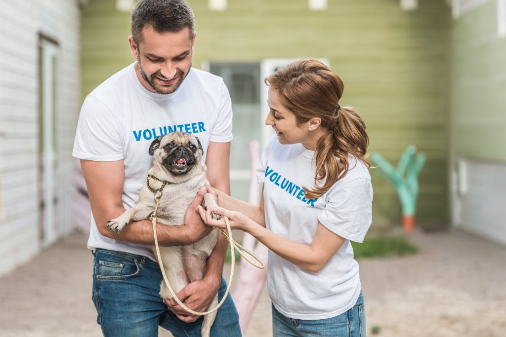How to Support Your Local Animal Shelter – Texas Humane Network